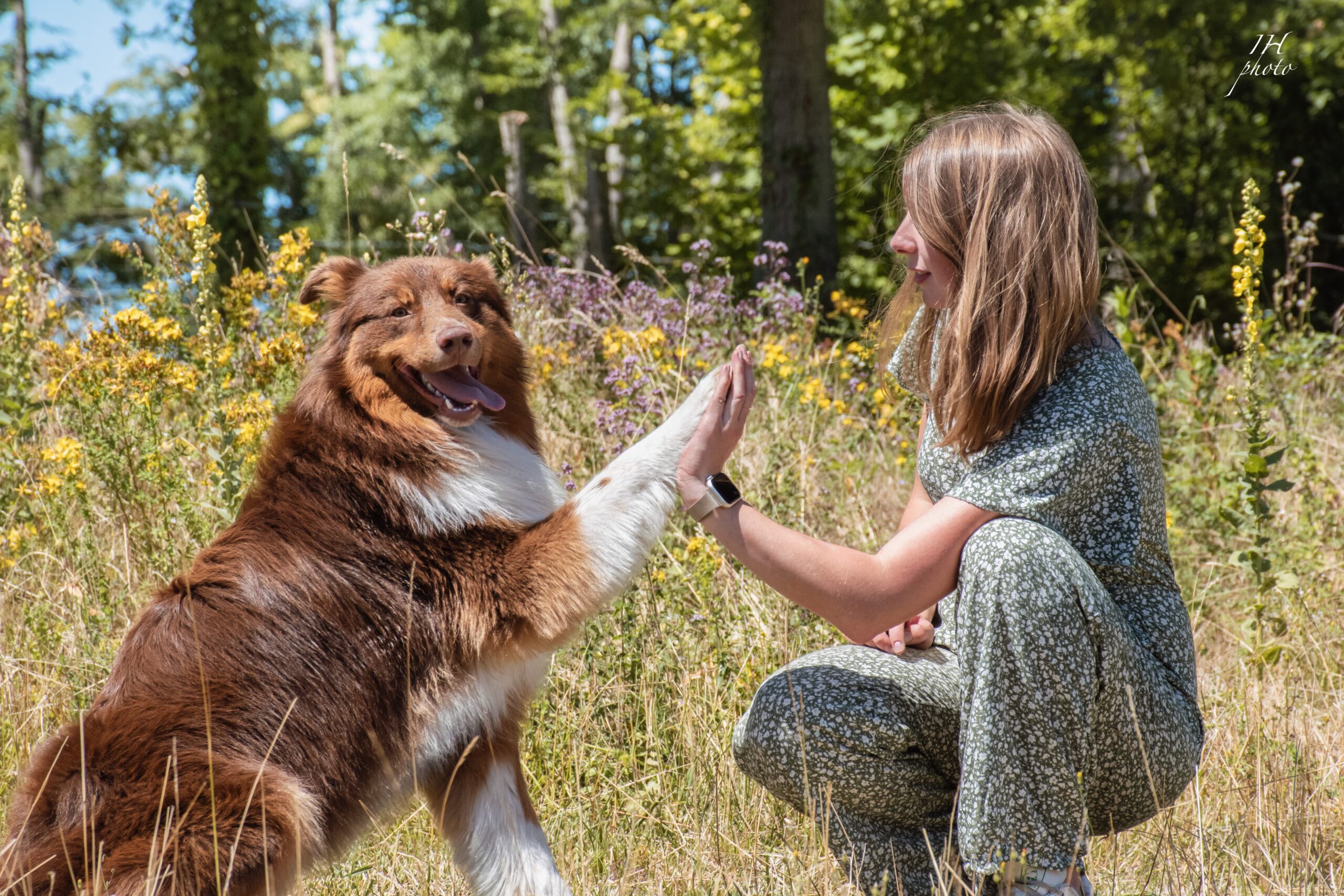 Les meilleurs exercices pour renforcer la relation avec votre chien